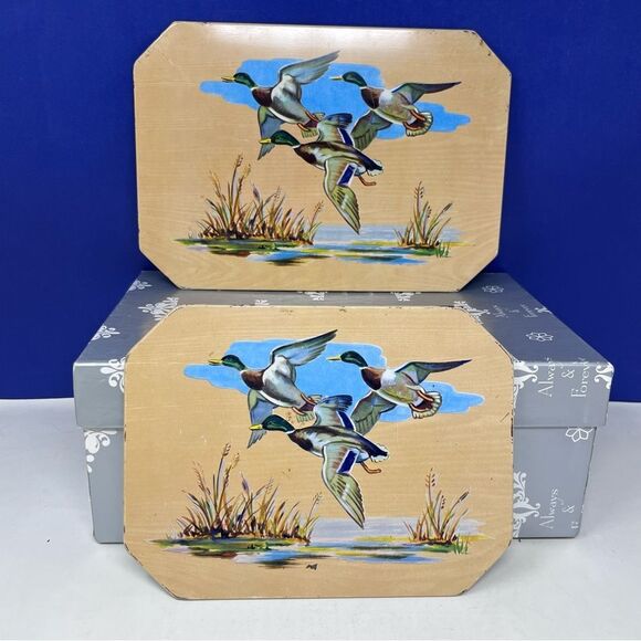 Vintage | Kitchen | Mcm95s Protex Metal Mallard Duck Octagon Hot Plates ...